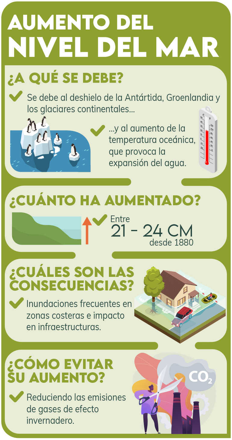 Nivel del mar: su relación con el cambio climático | DKV 360